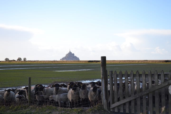Logement 1 Chambre 4 Personnes - Le Mont-Saint-Michel