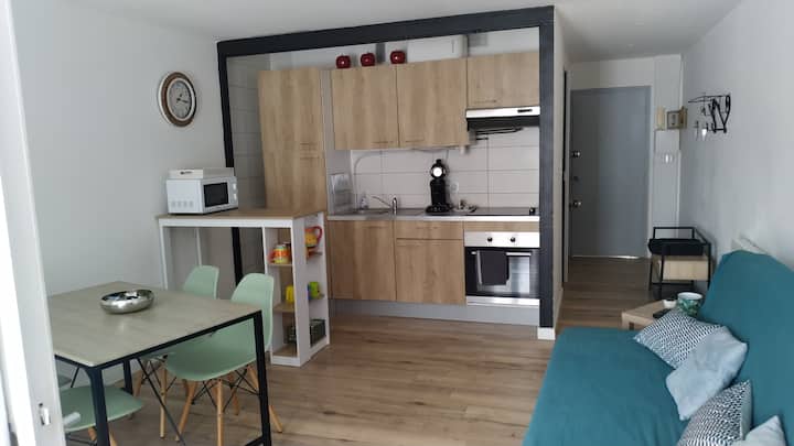 Studio Au Port De Saint Cyprien - Saint-Cyprien
