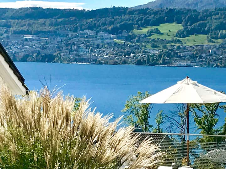 The Lakeview House In Zurich - Kanton Zürich