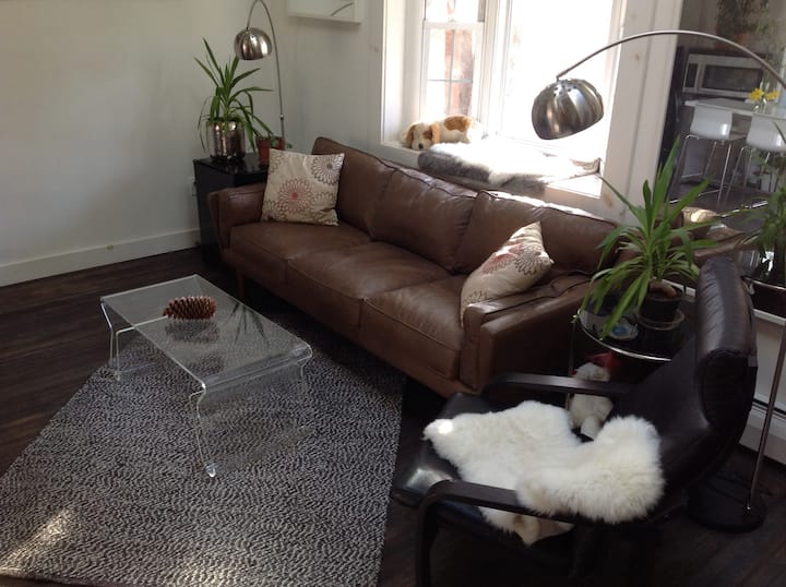 Rustic Modern Pet Friendly Getaway - New Paltz, NY