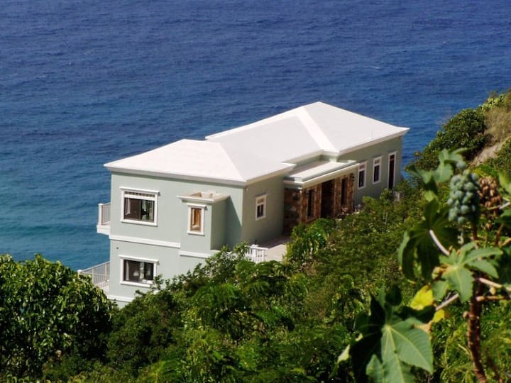 Surewinds Villa - Saint Thomas