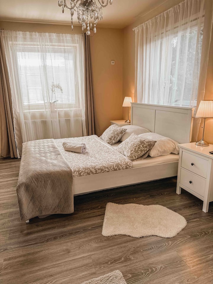 ⚜️✨Unique Apartment Ludgeřovice✨⚜️ - Bohumín