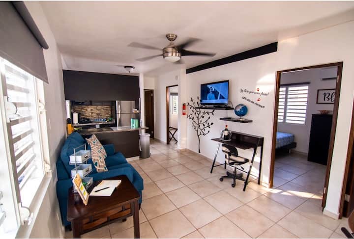 B1 • Apartamento Del ÁRbol En Santurce - San Juan