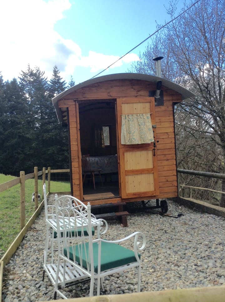 Shepherds Hut Jessica, Near Bala - Bala