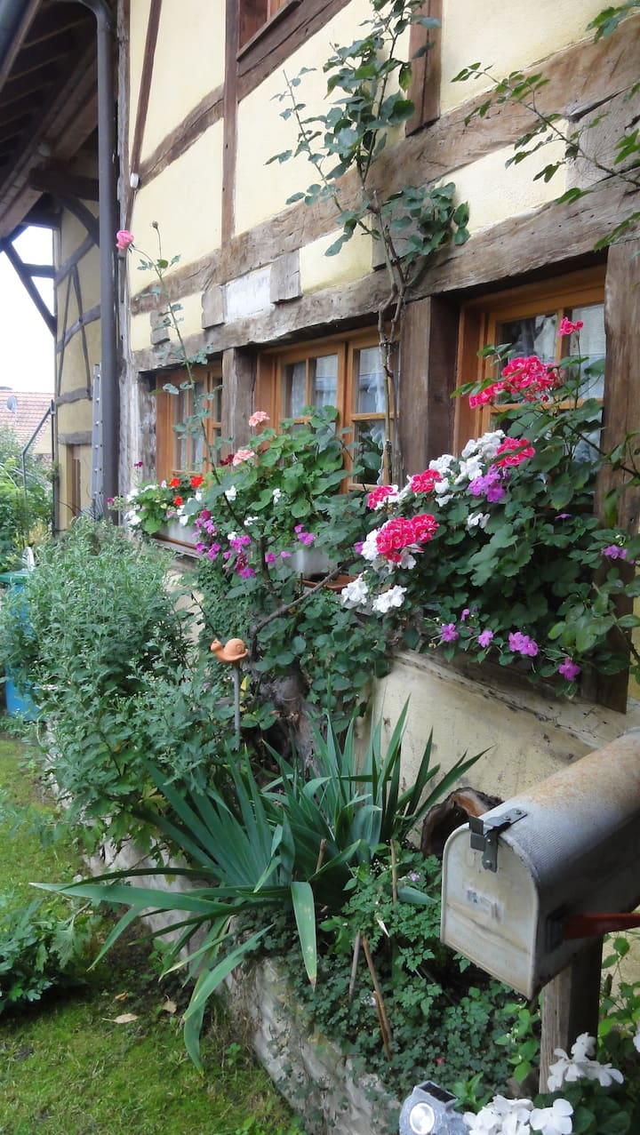 "Freies Atelier"  Ein Künstlerhaus 500 Jahre Alt - Gailingen am Hochrhein