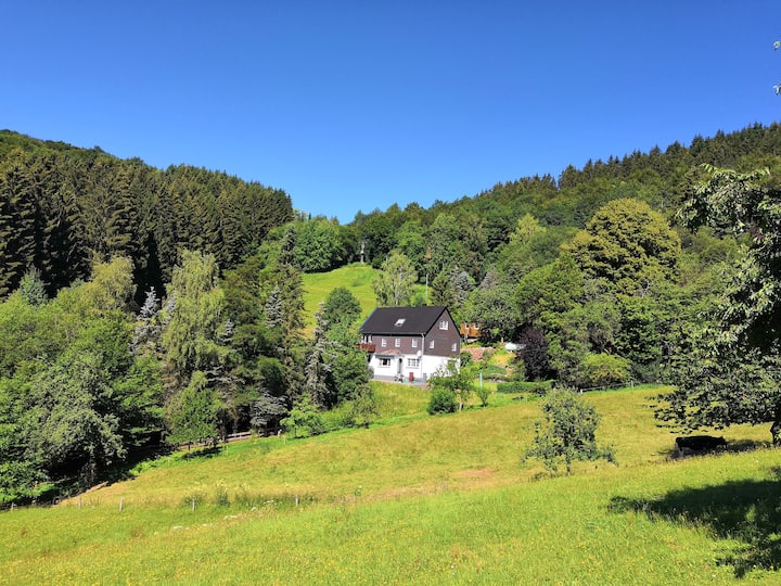 Idyllische Wohnung - Alleinlage Am Waldrand - Eslohe (Sauerland)