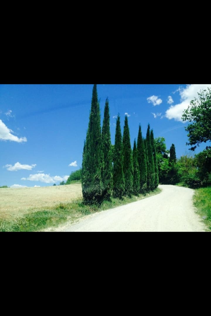 Shalom! E Sia La Pace! - Siena