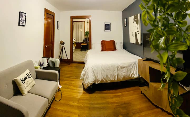 Vintage Studio In Beacon Hill. Walk Everywhere - Boston, MA