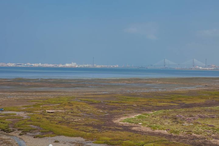 Bungalow Planta Baja - Cádiz