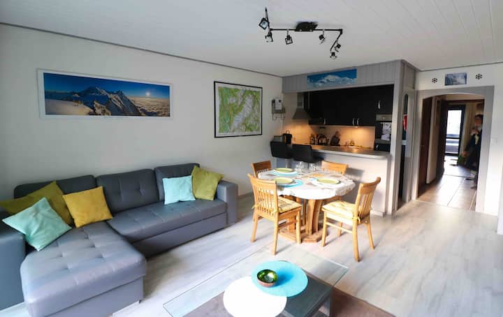 Chamonix Centre. Vue Mont Blanc. 2 à 6 Personnes. - Chamonix-Mont-Blanc
