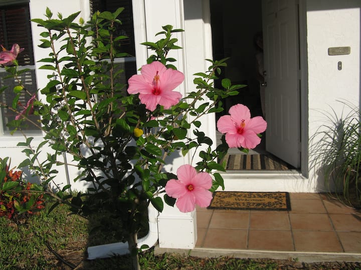 S.venice, Spacious And Comfortable Home Near Beach - Venice, FL