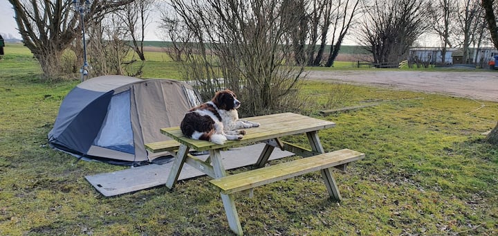 Comfortabele Slaaptent, 2 P. - Makkum