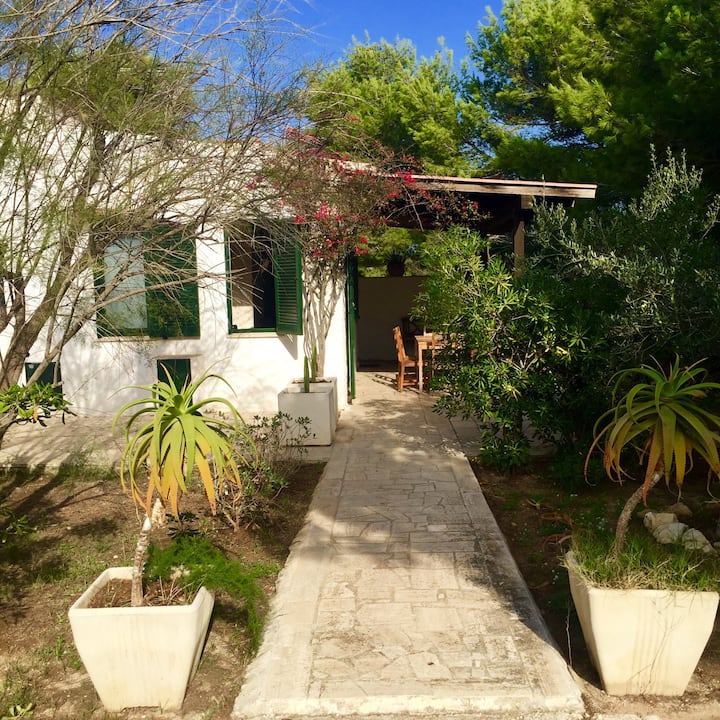 "At-my-place" Casaulivo  Setteminne Oleandro - Isola di Favignana