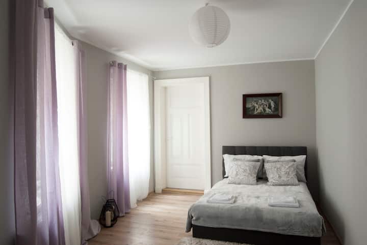 Przestronny Apartament W Sercu Torunia - Toruń