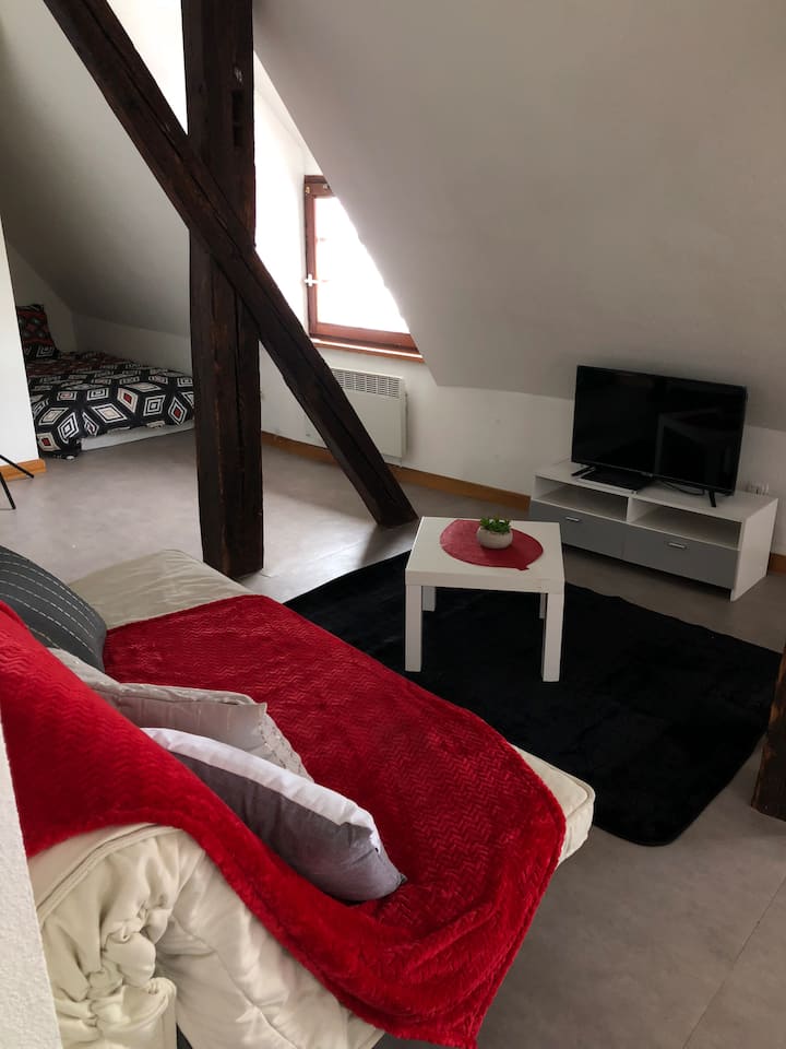 Duplex Au Coeur De Ribeauvillé - Kintzheim
