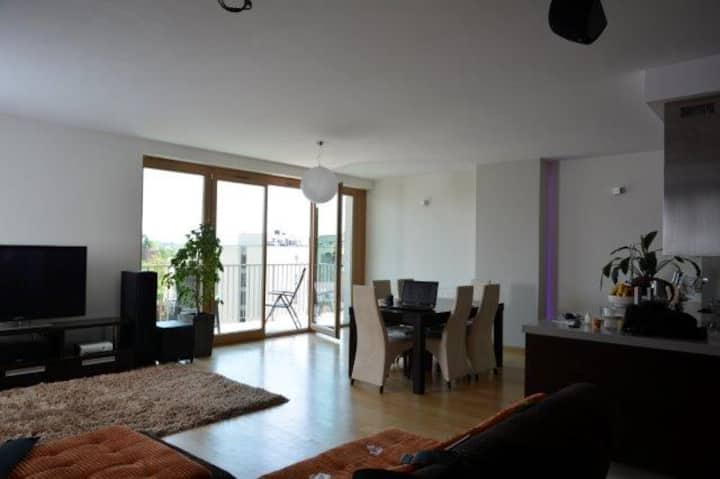 Angel Plaza Krakow Apartment 140m2 - Krakow