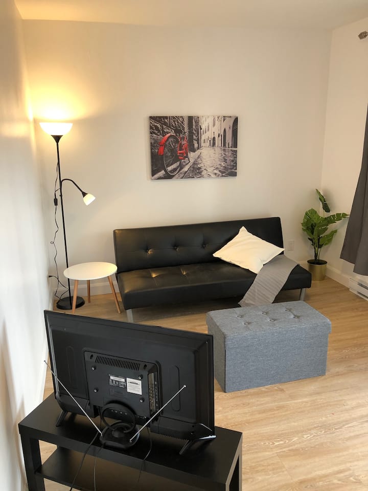 Cozy Limoilou Apt + Ac, Fast Wifi & Private Entry - Québec, QC