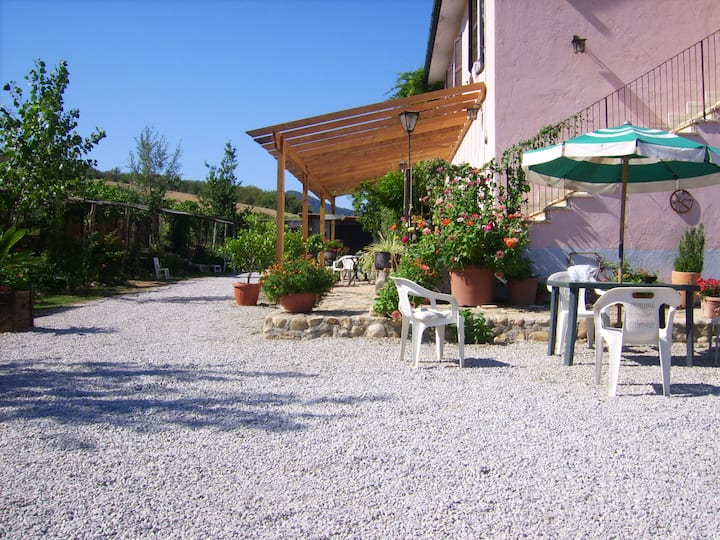 Big Appartment With Swimming Pool And Kitchen - Cerveteri