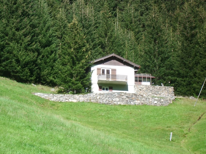 Alpine Davos - Davos