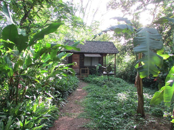 Parrot Nest Sun Rapids Cabin (Gold Standard) - Belize
