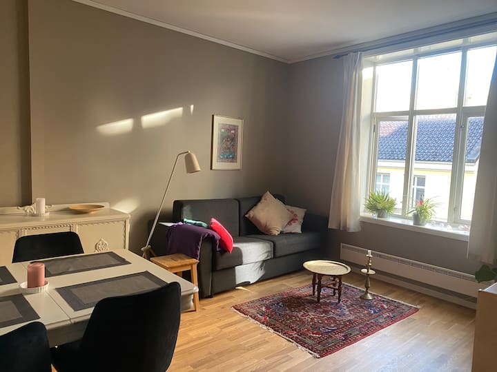 Rolig, Praktisk Og Sentralt I Bergen - Bergen, Norway