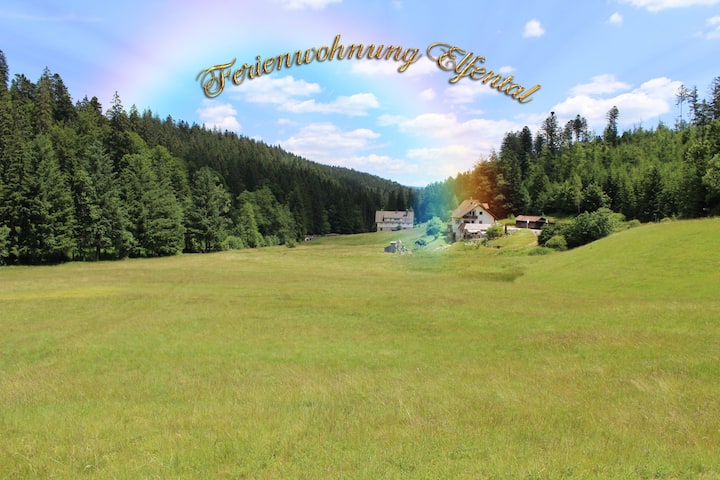 Holiday Apartment In Silent Nature - Forbach, Deutschland