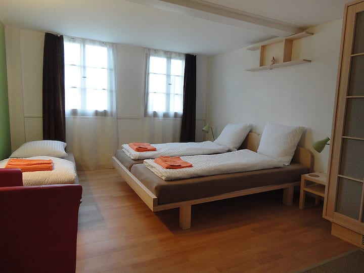 300 Year Old Historic Farmhouse, B&b ,Parking - Lucerne