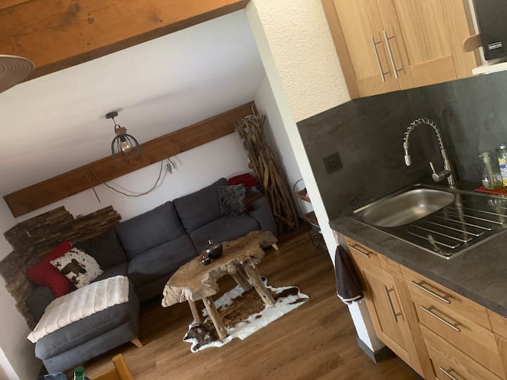 Chalet Le Daim Appartement 6 Pers Vue Mont-blanc - Combloux