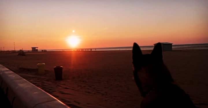 Repos, Nature Et Famille - Gruissan