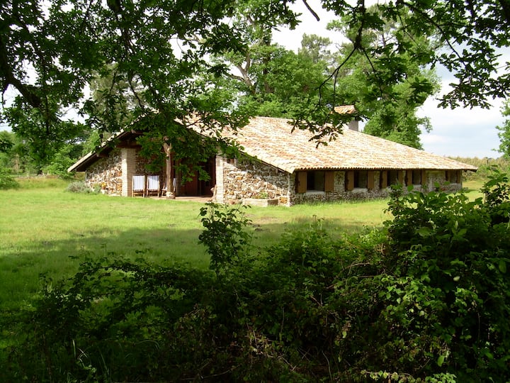 Bergerie Dans Les Landes - Labouheyre