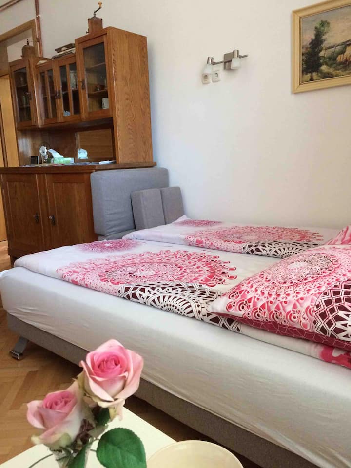 Vila Lillie, Ljubljana, Green City Center - Ljubljana