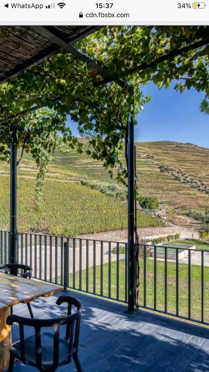 Quinta No Douro - Casa Com Charme - Vila Real