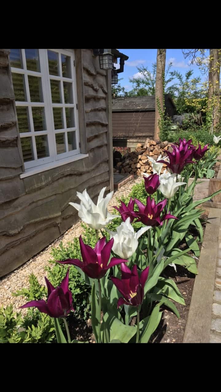 Didcot Holiday Rentals & Homes - England, United Kingdom | Airbnb