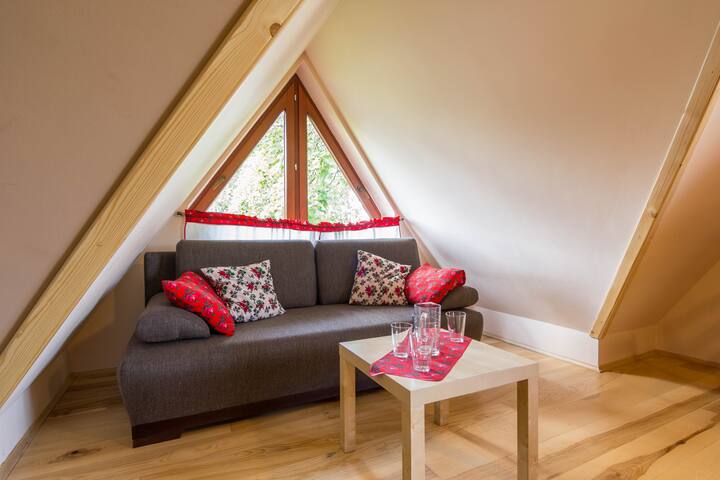 Apartament Dębowy Zakopane - Zakopane