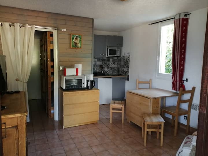 Très Joli Studio Cabine (25 M²) Auris En Oisans - Auris-en-Oisans