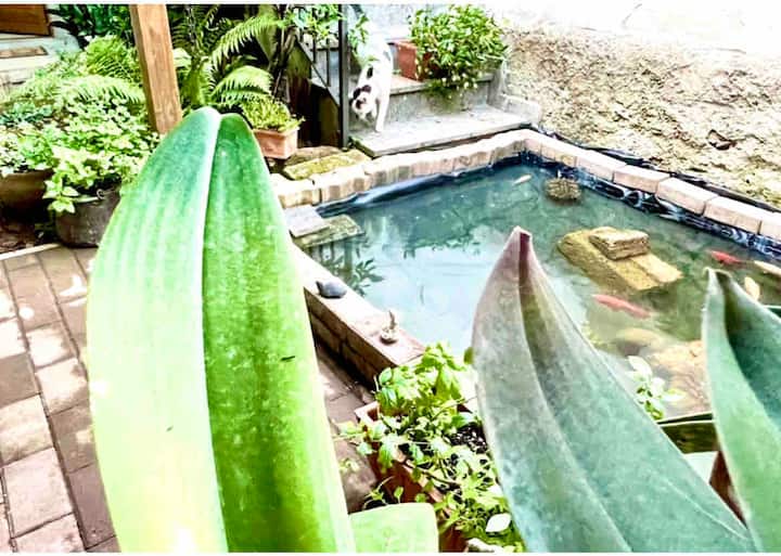 Casa Di Anna - Busto Arsizio