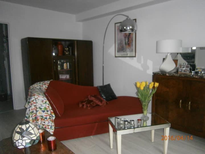 Appartement Lumineux Et Cosy - Mérignac