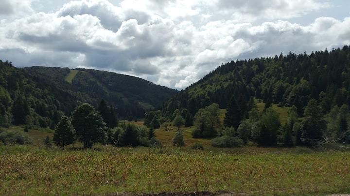 Appartement Vue Piste "Col Des Feignes" - Lac Noir