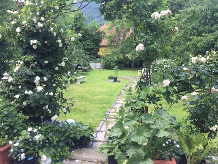 Altbauwohnung Mit Garten In Gösting - Graz