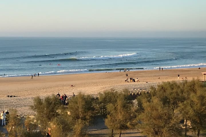 Sea, Surf And Sun. - Hossegor