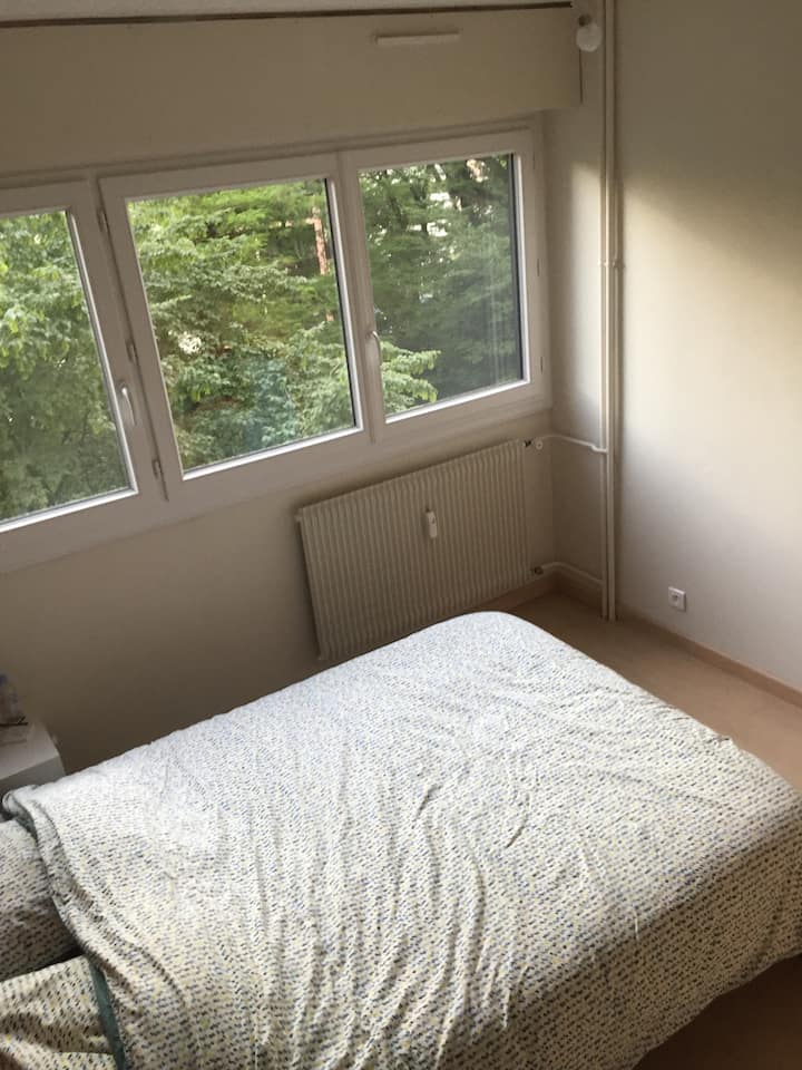 Appartement 4-6 Personnes Extrême Centre Ville - ibis budget Thonon Les Bains