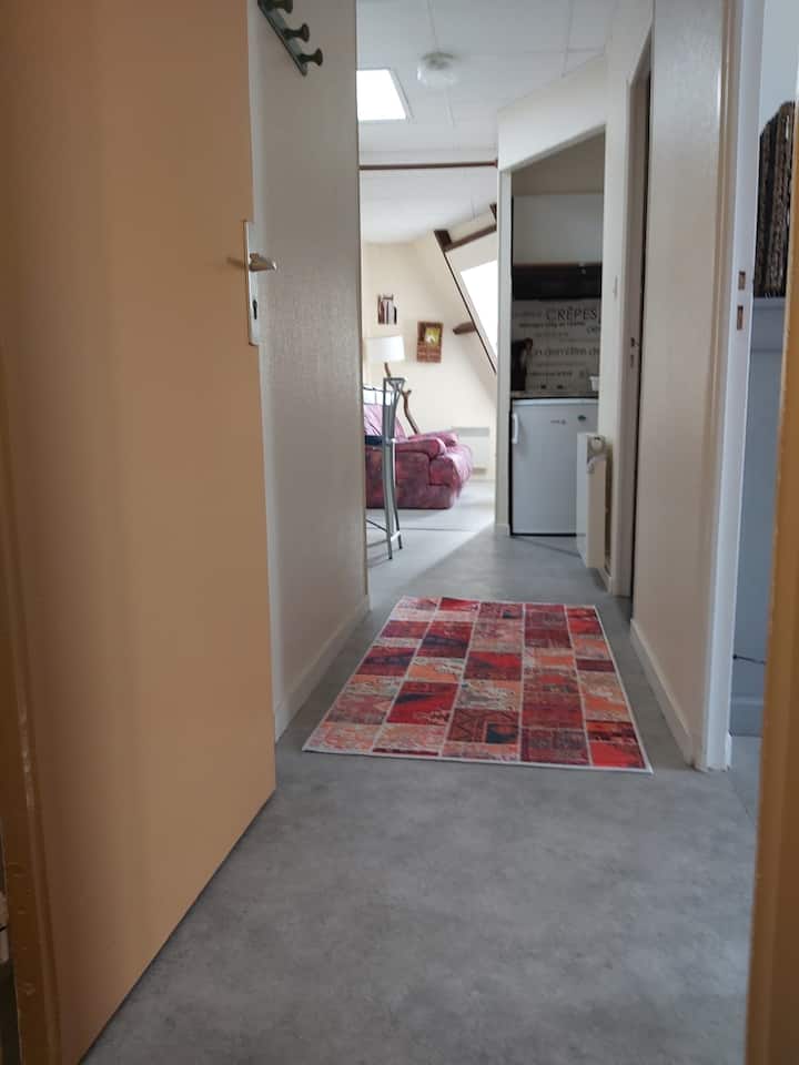 Appart Cosy Bénodet, Proche Plages Et Centre Ville - Île-Tudy