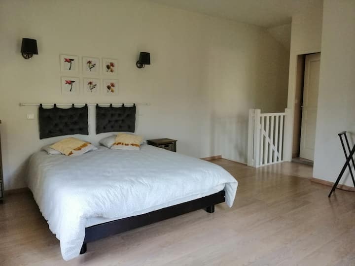 Gite Le Cèdre Bleu - Saint-Lattier