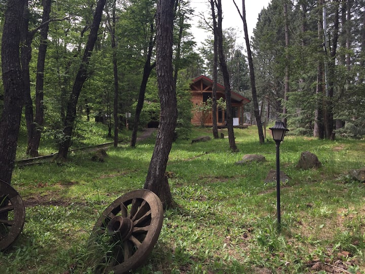 Confortable Cabaña En Bosque Nativo, Amplio Jardin - Coyhaique