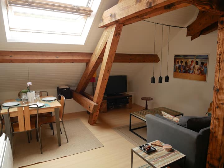 Appartement Plein Centre-ville Pour 4 Personnes - La Bresse