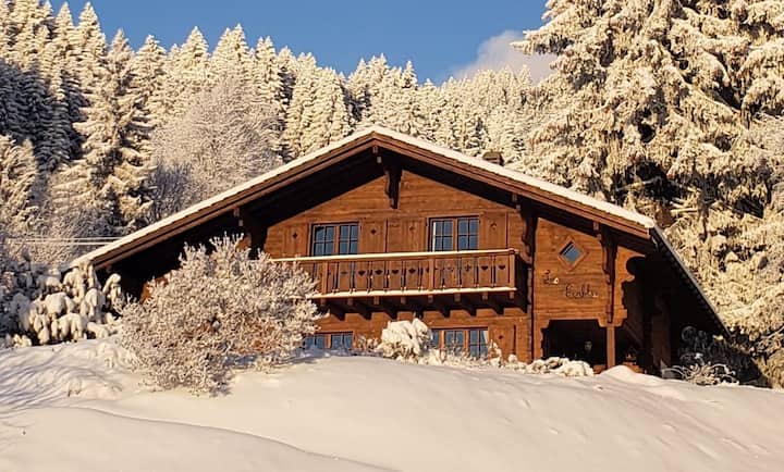 Gryon Chalet: Skiing, Hiking, Spectacular Views - Gryon