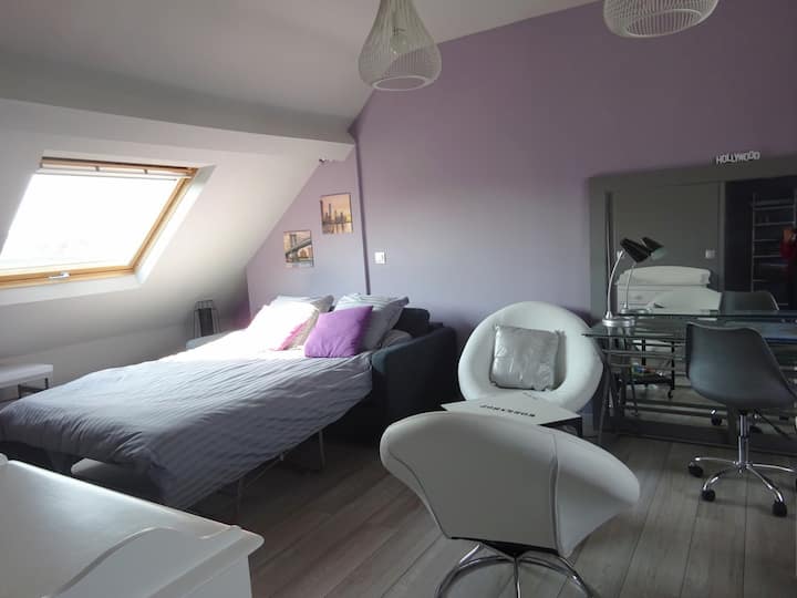 Chambre Avec Salle D 'Eau, Privée En Centre Ville - Le Mans