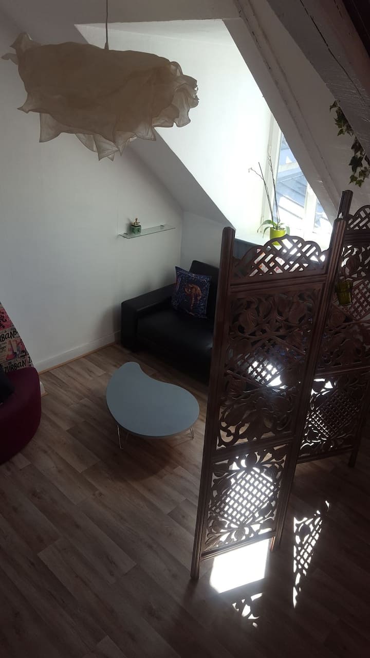 Studio De Charme En Plein Centre Ville - Angers