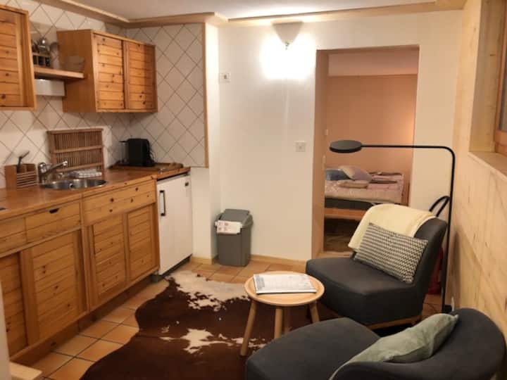 Bas Du Chalet Eglantine_1 Chambre_2 Personnes - Zinal