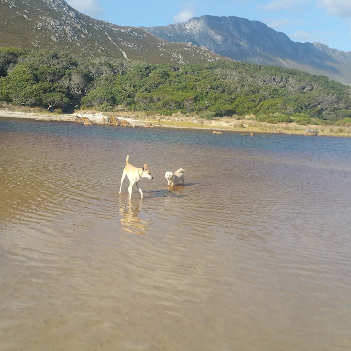 Home Away From Home - Rooi-Els
